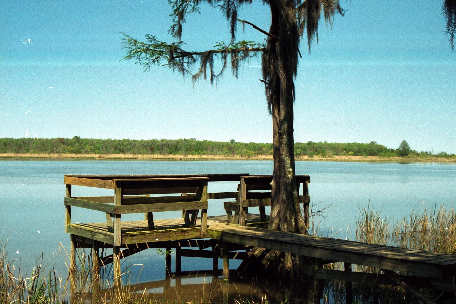 Locations Hub - Historic Blakeley State Park - Forest Walking Path