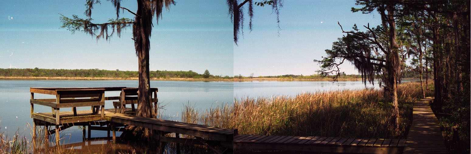 Locations Hub - Historic Blakeley State Park - Forest Walking Path